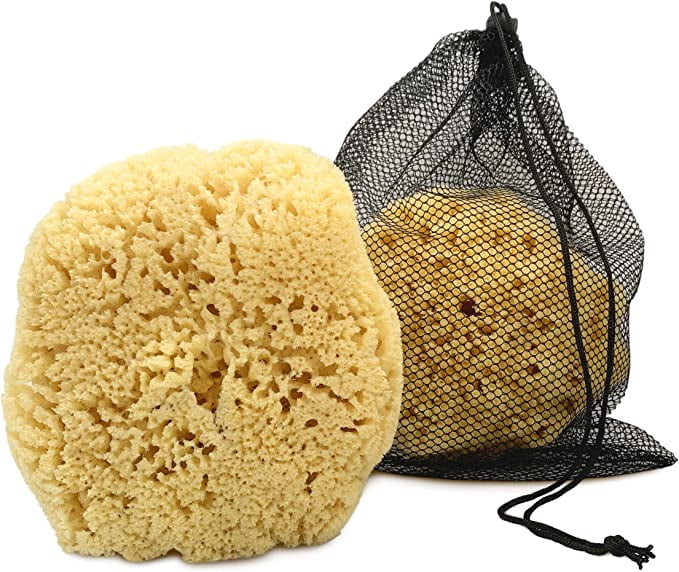 Real Sea Sponge for Men - Extra Large 6"-7", Totally Natural, Kind on ...