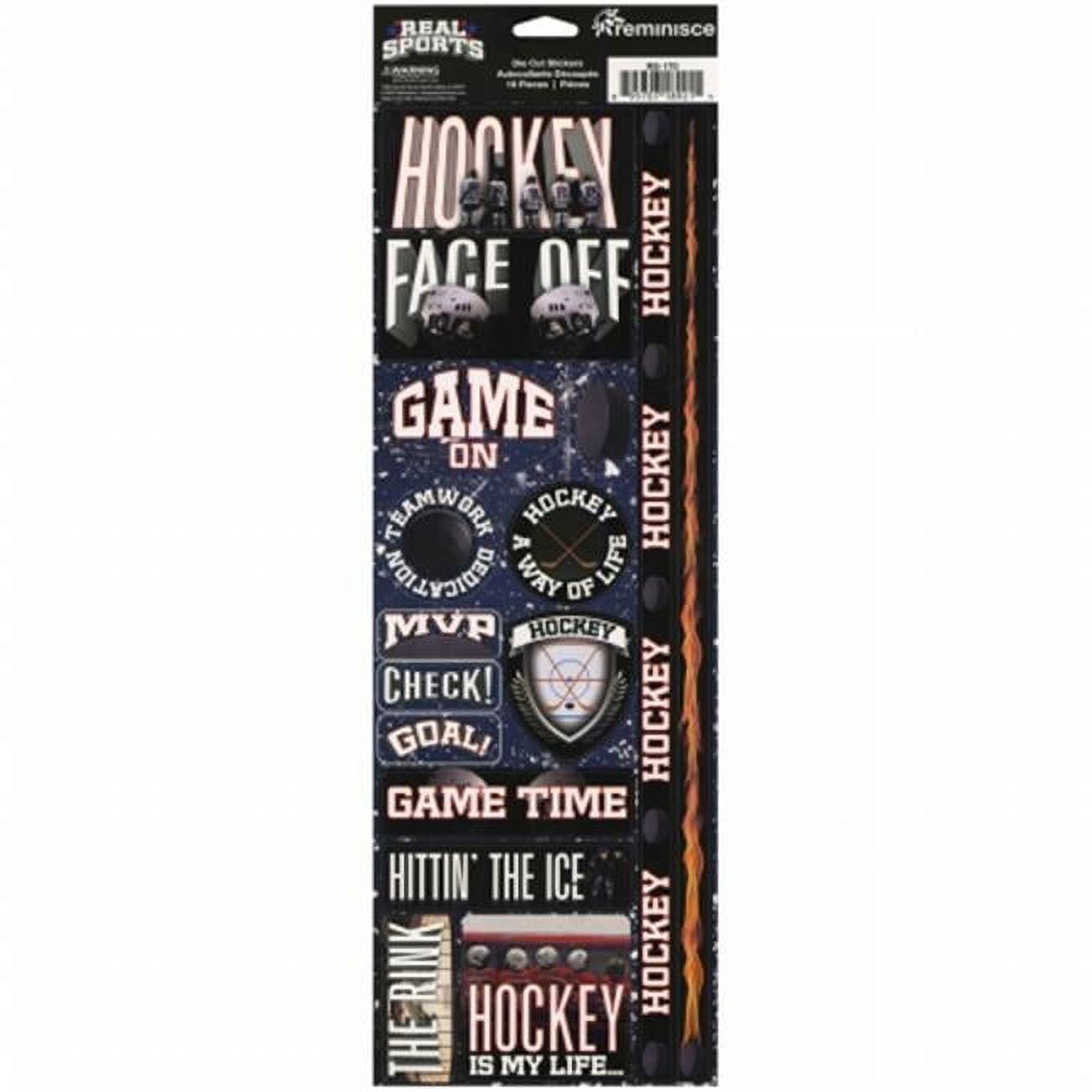 Real Sport Die-Cut Cardstock Stickers 4. 25''X13''-Hockey - Walmart.com