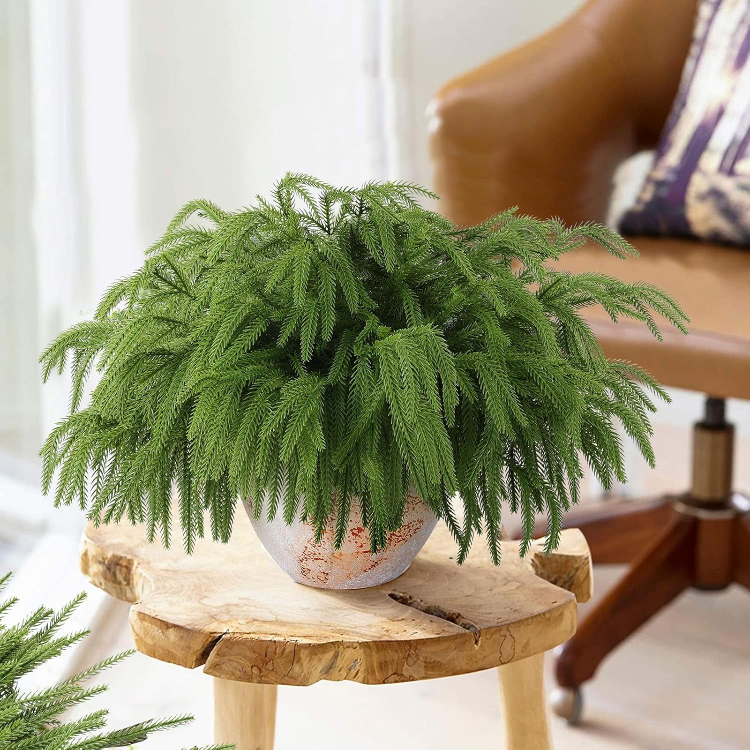 Real Touch Norfolk Pine Branches,Christmas Artificial Norfolk Pine ...