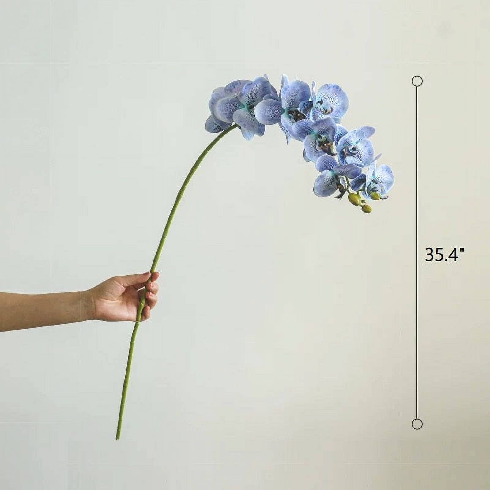 Real Touch Orchid Stem in Various Colors 35" Tall - Walmart.com