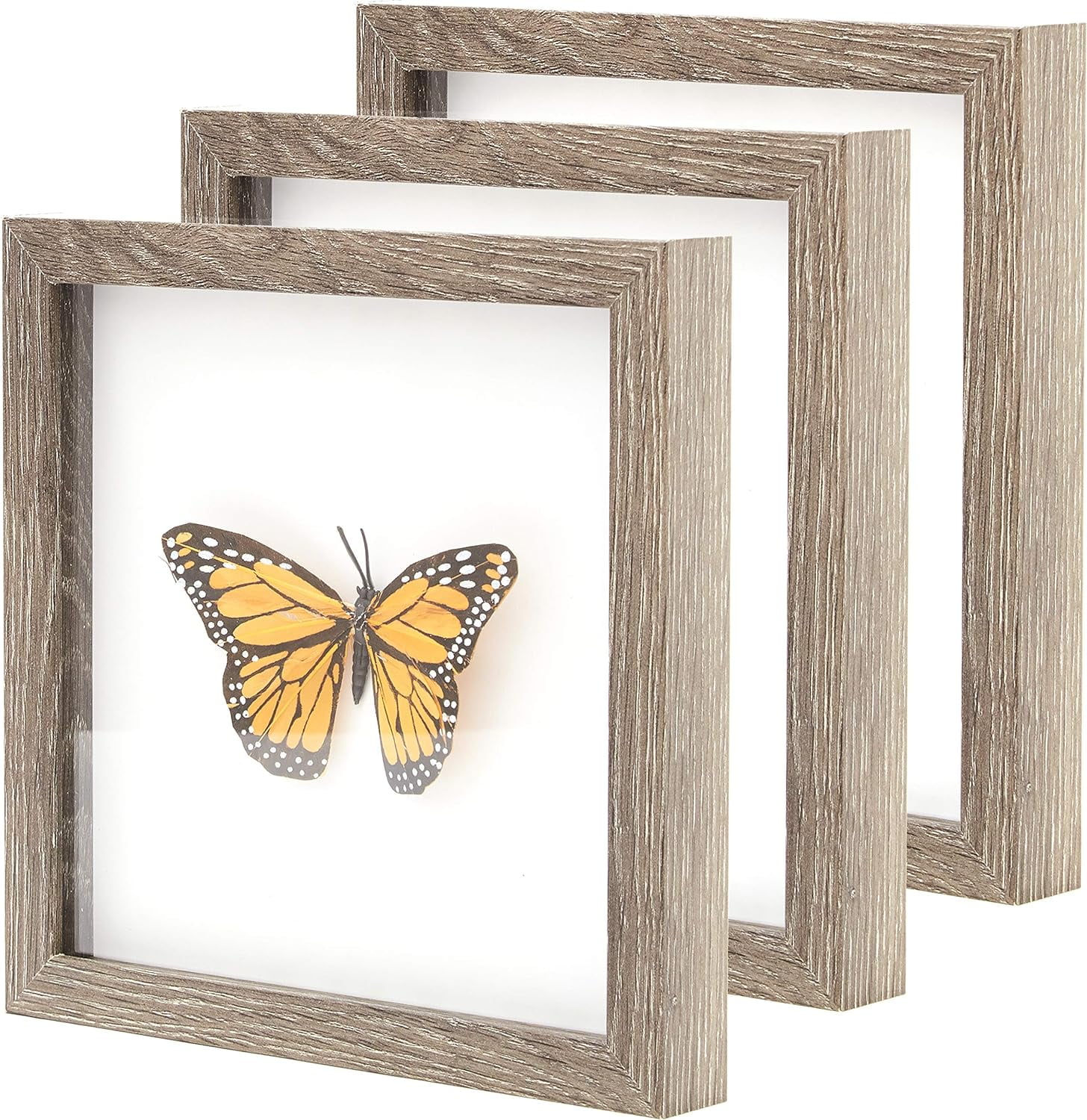 Real Wood 8x10 Box Frame 3pk. Genuine Hardwood Displays with Real Glass ...