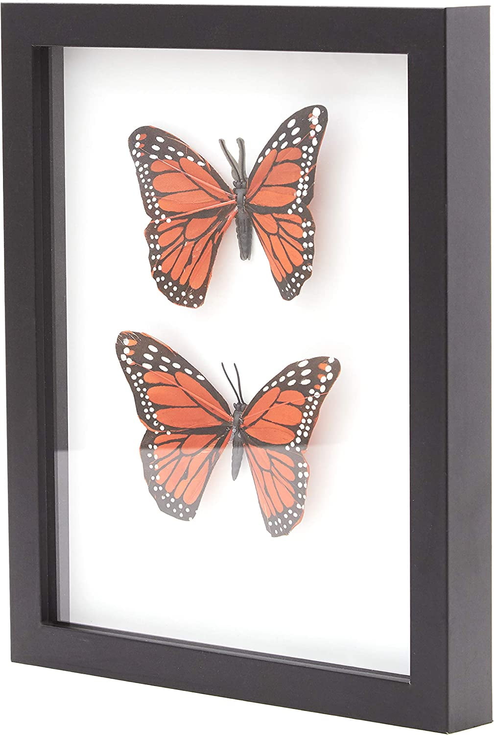 Real Wood 8x10 Box Frame 1pk. Genuine Hardwood Display with Real Glass ...