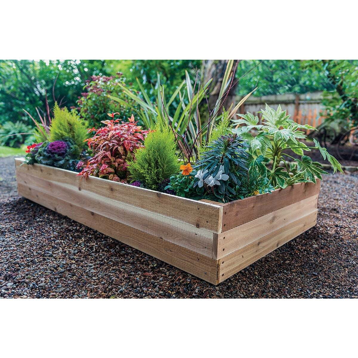 Real Wood Products - Western Red Cedar Raised Garden Bed, 10.5 x 72 x ...