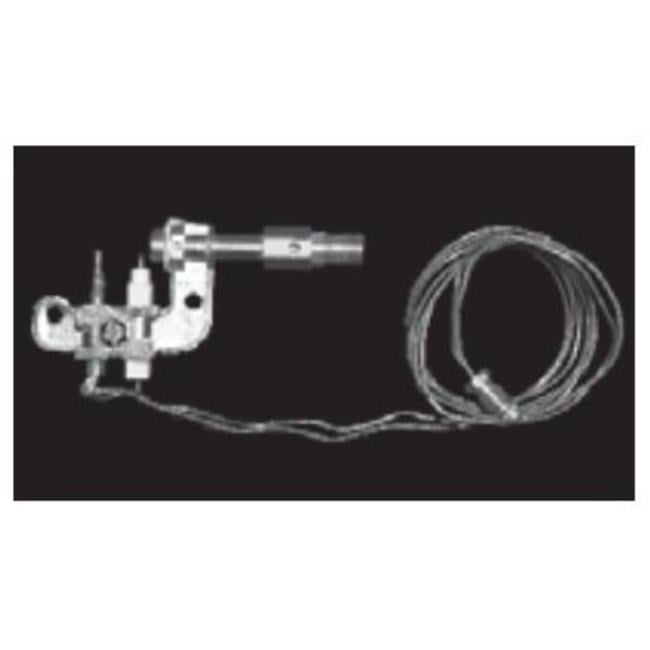 RealFyre Oxygen Depletion Sensor Pilot Assembly - Natural Gas - Walmart.com