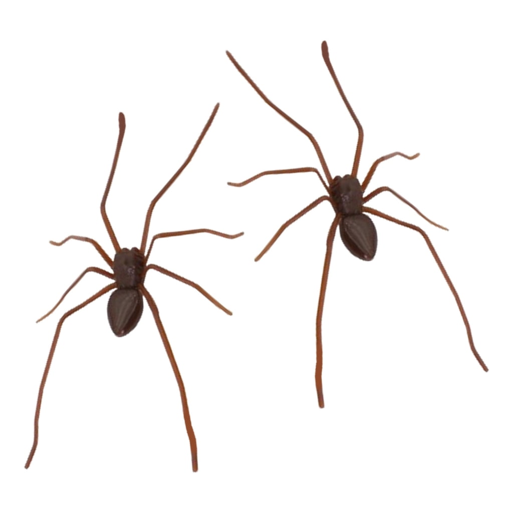 Realistic 3D Magnetic Spiders Fridge Decorative Magnets For Whiteboards ...