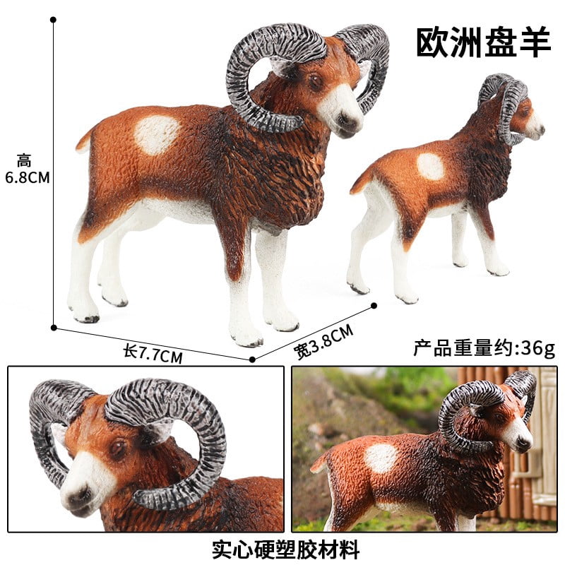 Mouflon