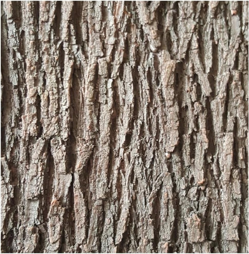 Realistic Artificial Bark Landscaping DIY Projects and Crafts Faux Tree ...