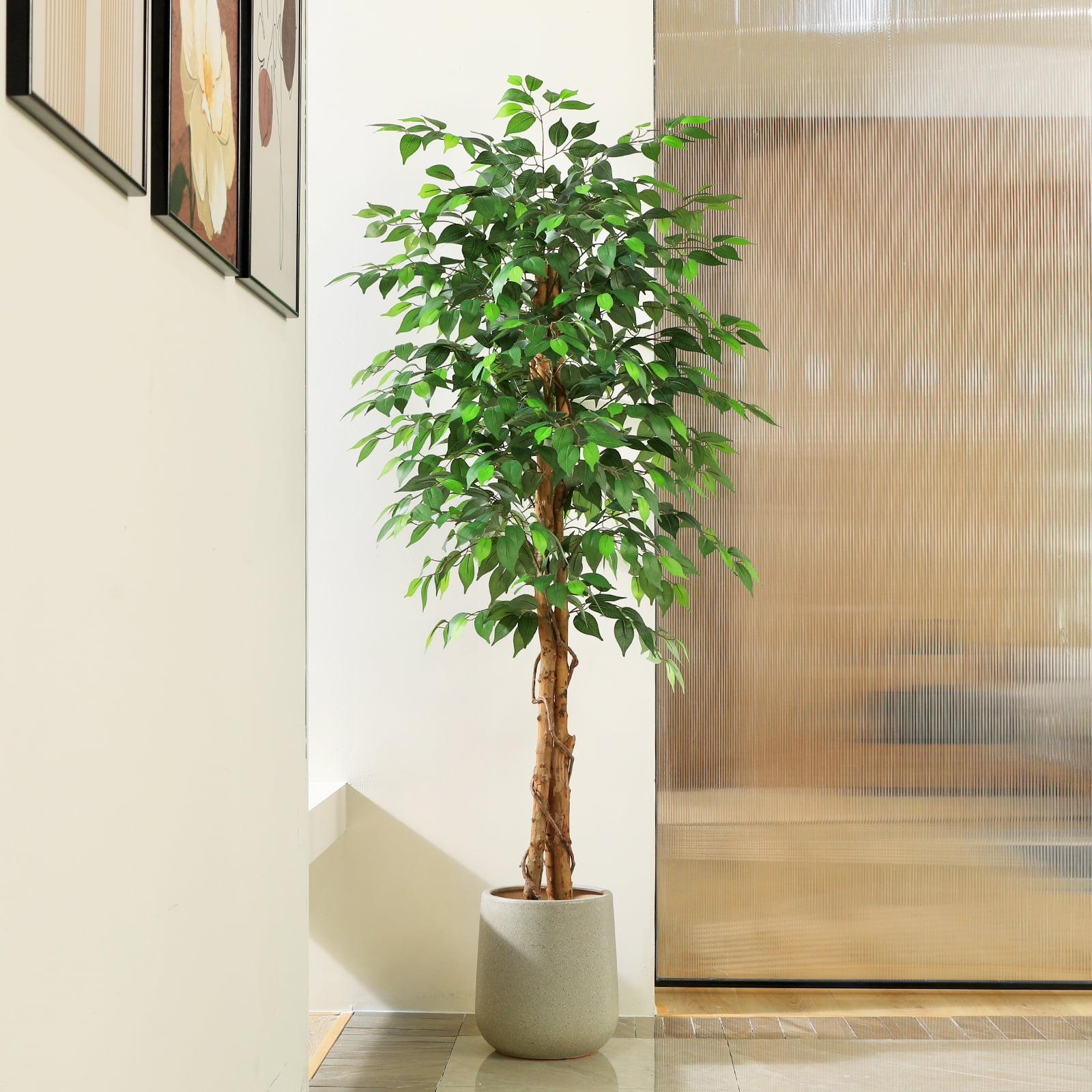 Realistic Artificial Ficus Trees: Natural Curved Trunks, Silk Foliage ...