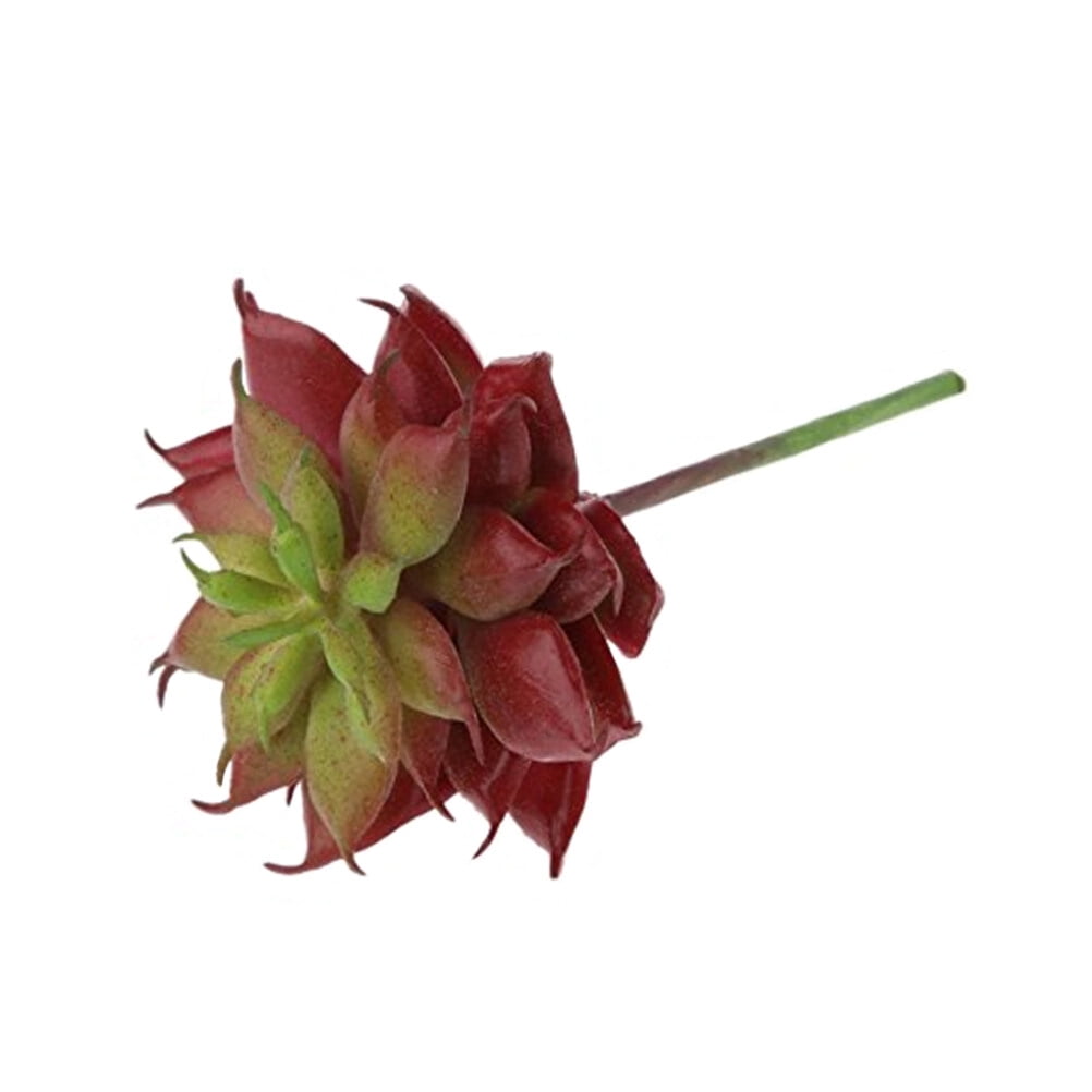 Realistic Artificial Succulent Cactus Small Plastic Plants Unpotted for ...