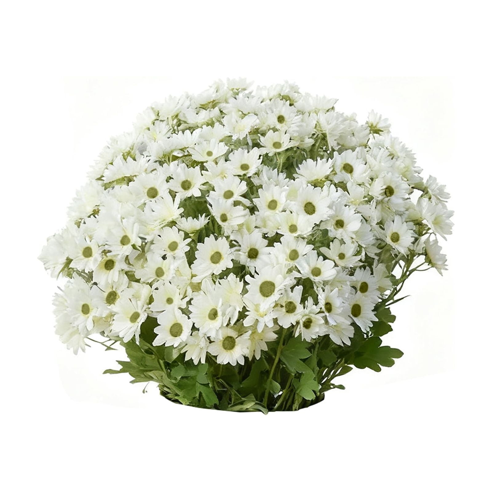 Realistic Artificial Sunsetting Flowers With Leaves Lifelike Appearance ...