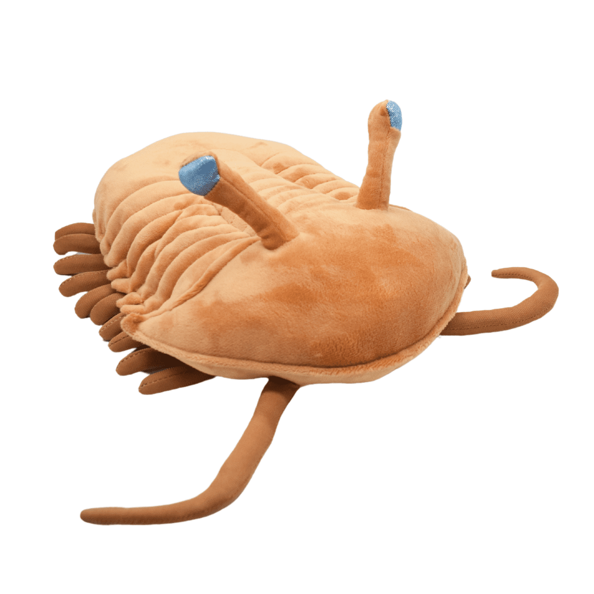 Realistic Asaphus Kowalewskii Stuffed Animal Plush Toy, Lifelike Animal ...