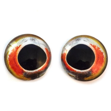 Shark Glass Eyes - Walmart.com