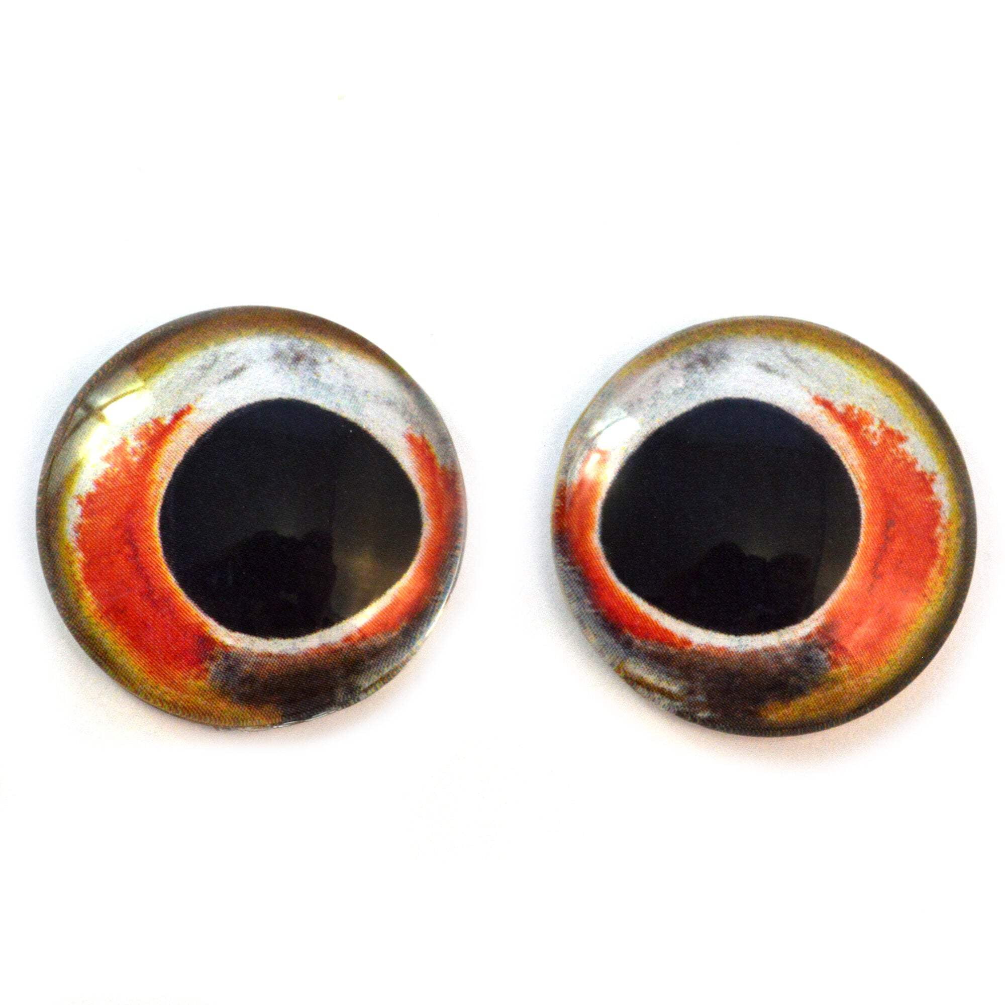 Realistic Bass Fish Glass Eyes - Walmart.com