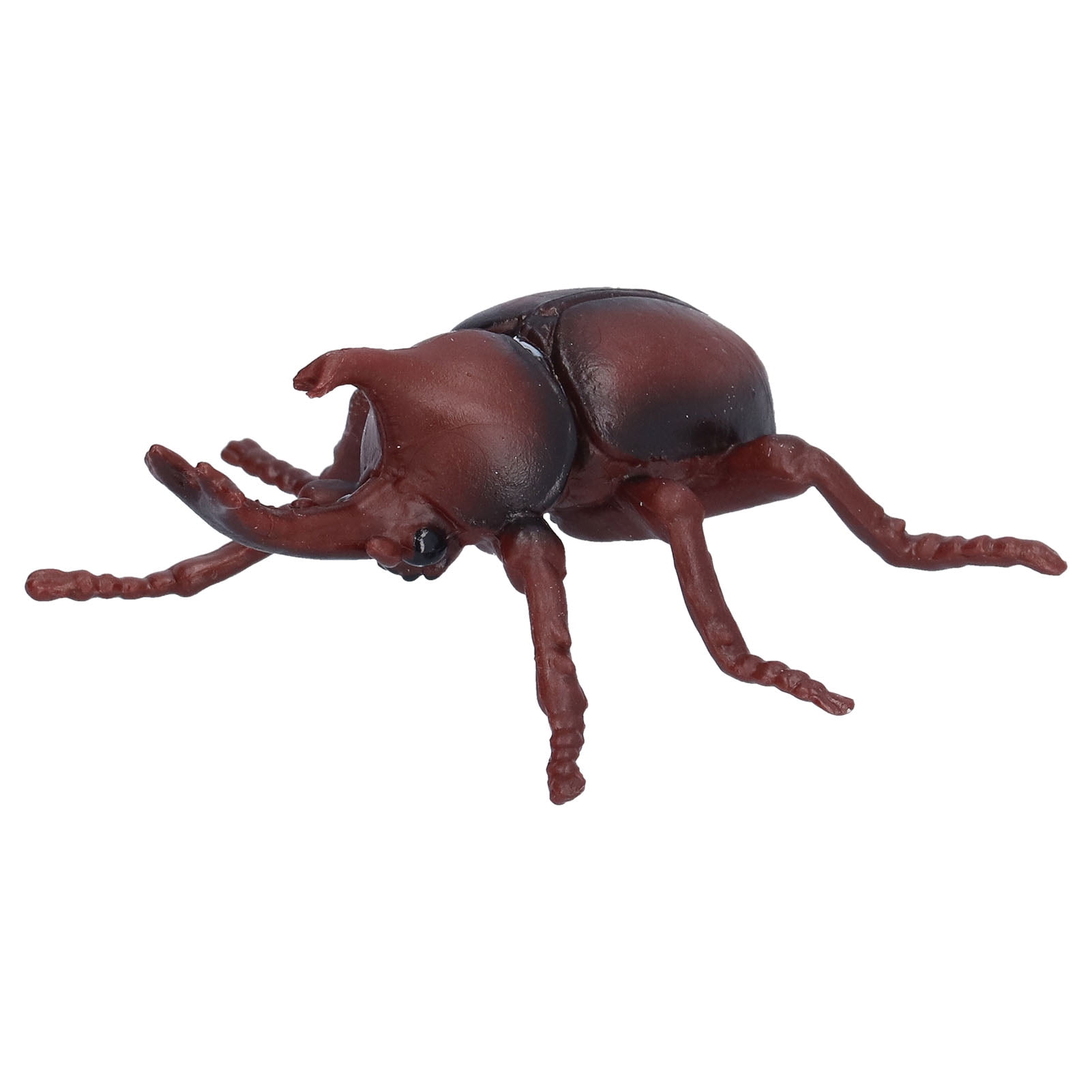 Realistic Beetle Insect Model Plastic Beetle Figure Toy Kid's ...