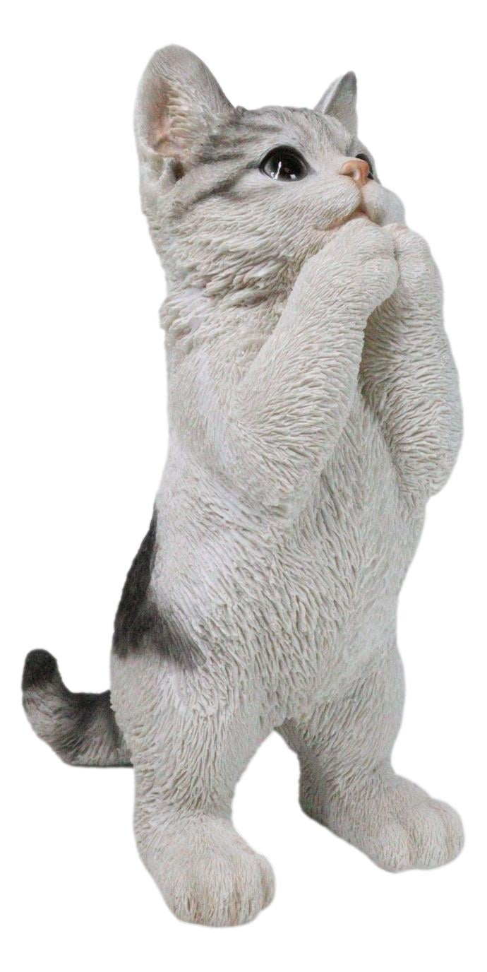Realistic Begging Feline Shorthair Calico Cat Kitten Figurine With ...
