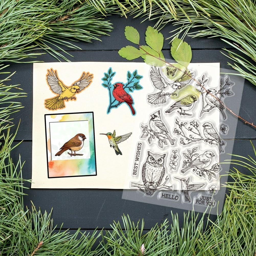 Realistic Birds Clear Stamps for Scrapbooking Owls Parrots Silicone ...