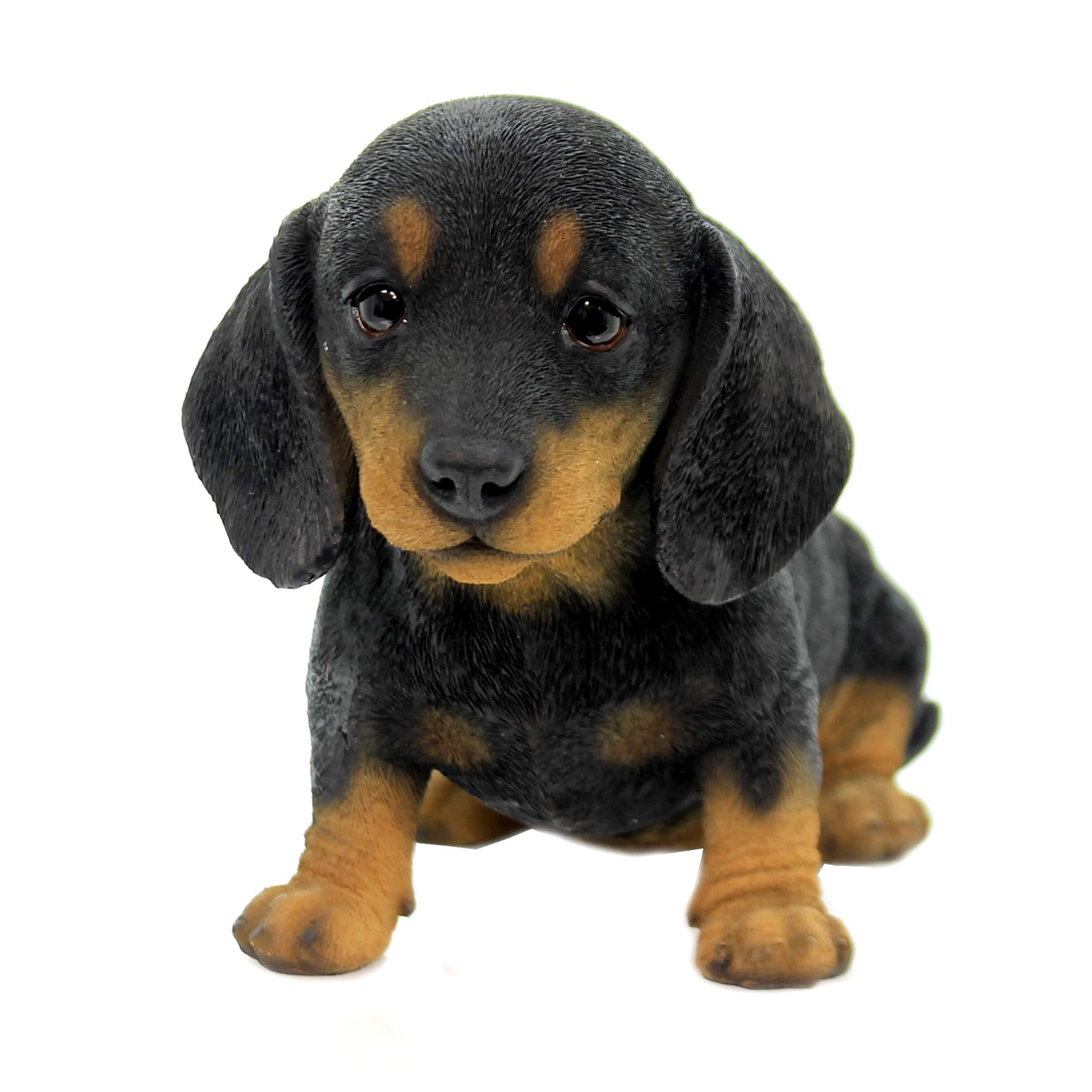 Realistic Black And Tan Dachshund Puppy Statue 8"L Schnitzel Sausage ...