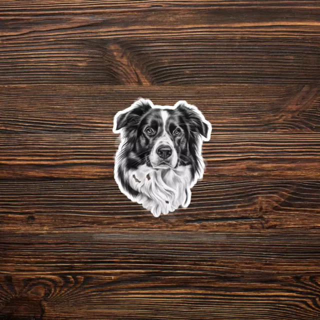 Realistic Border Collie Dog Sketch Art Sticker - Detailed Pet Portrait ...