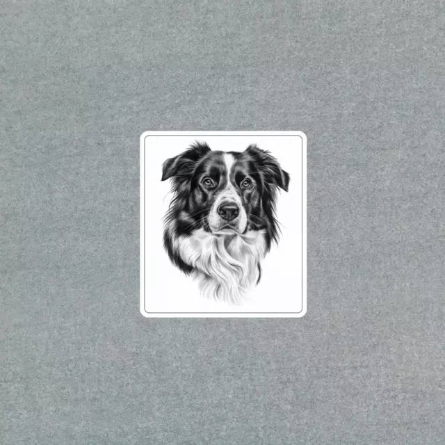 Realistic Border Collie Dog Sketch Art Sticker - Detailed Pet Portrait ...