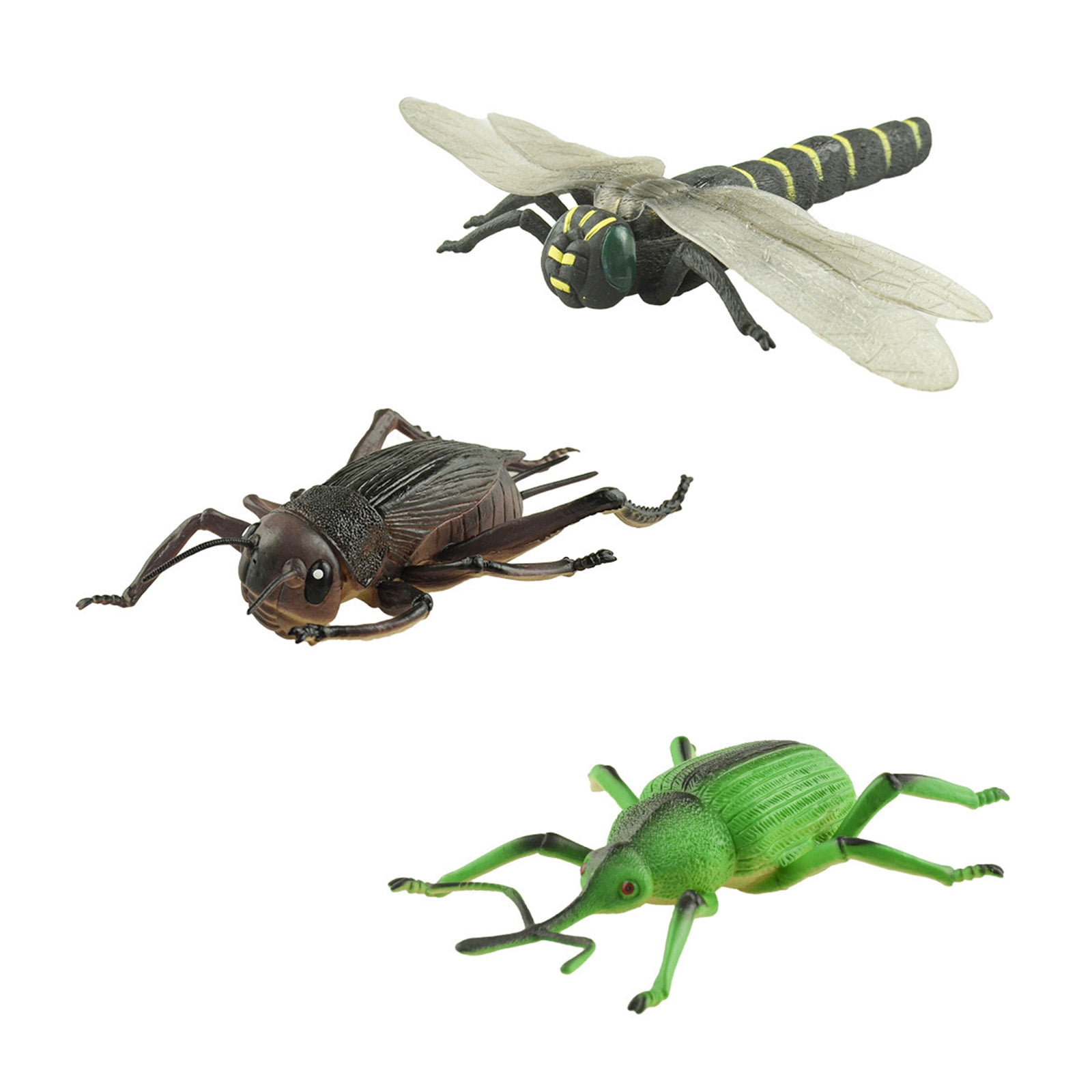 Realistic Bugs Model Figurine Set Of 3 For Kids Science Learning ...