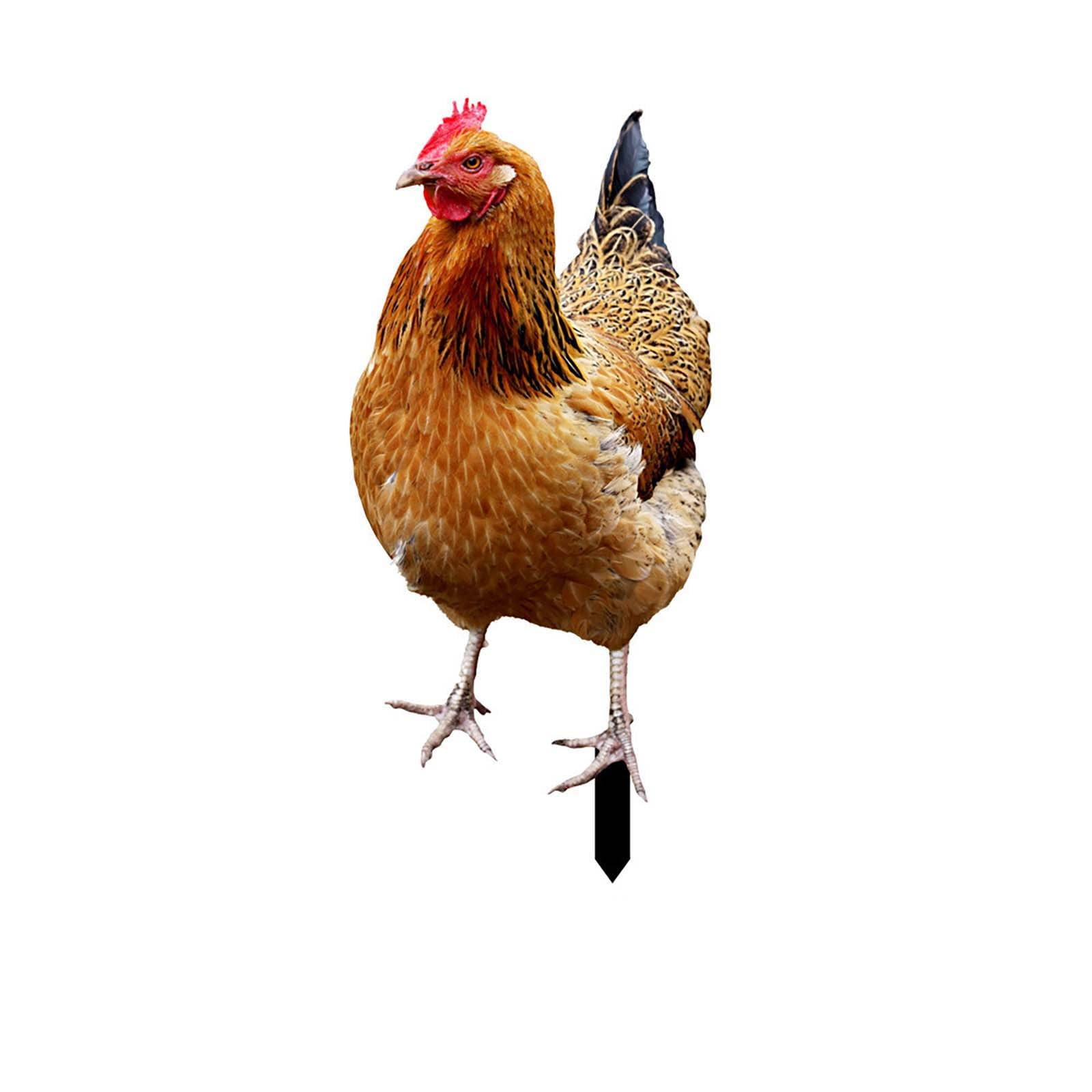 Realistic Chicken Family Acrylic Yard Stakes, Hen & Chick Farm Animal ...