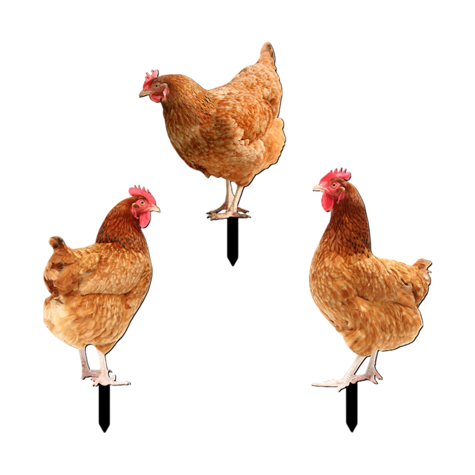 Realistic Chicken Family Acrylic Yard Stakes, Hen & Chick Farm Animal ...