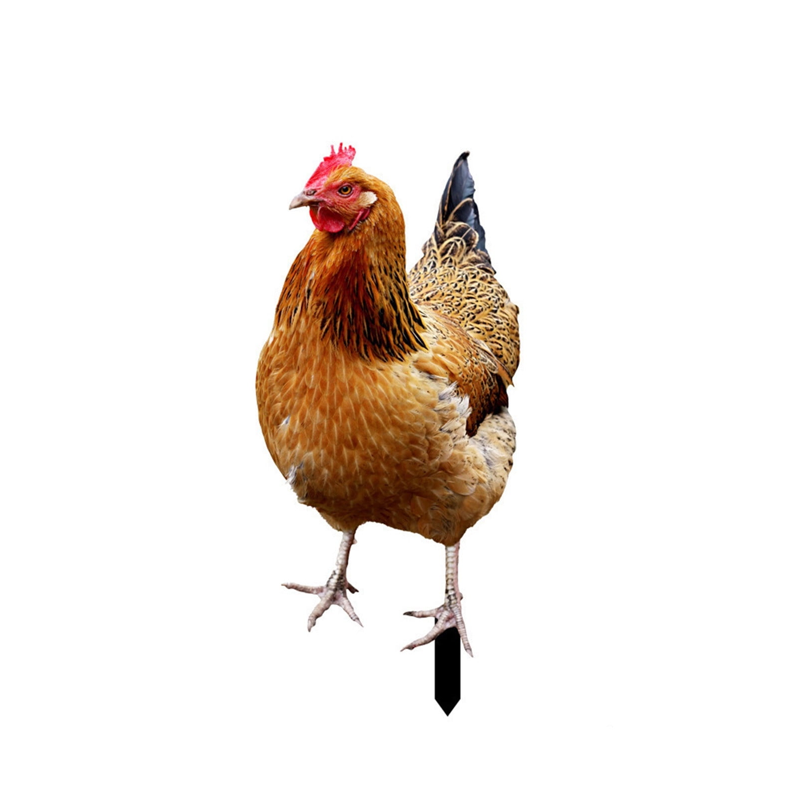 Realistic Chicken Statues,Acrylic Rooster Animals Stakes,Animals ...
