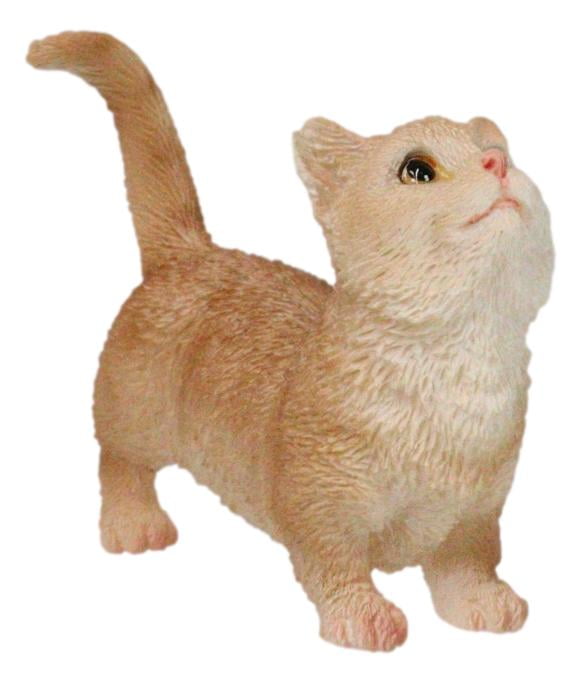 Realistic Curious Feline Orange Tabby Munchkin Cat Kitten Mini Figurine ...