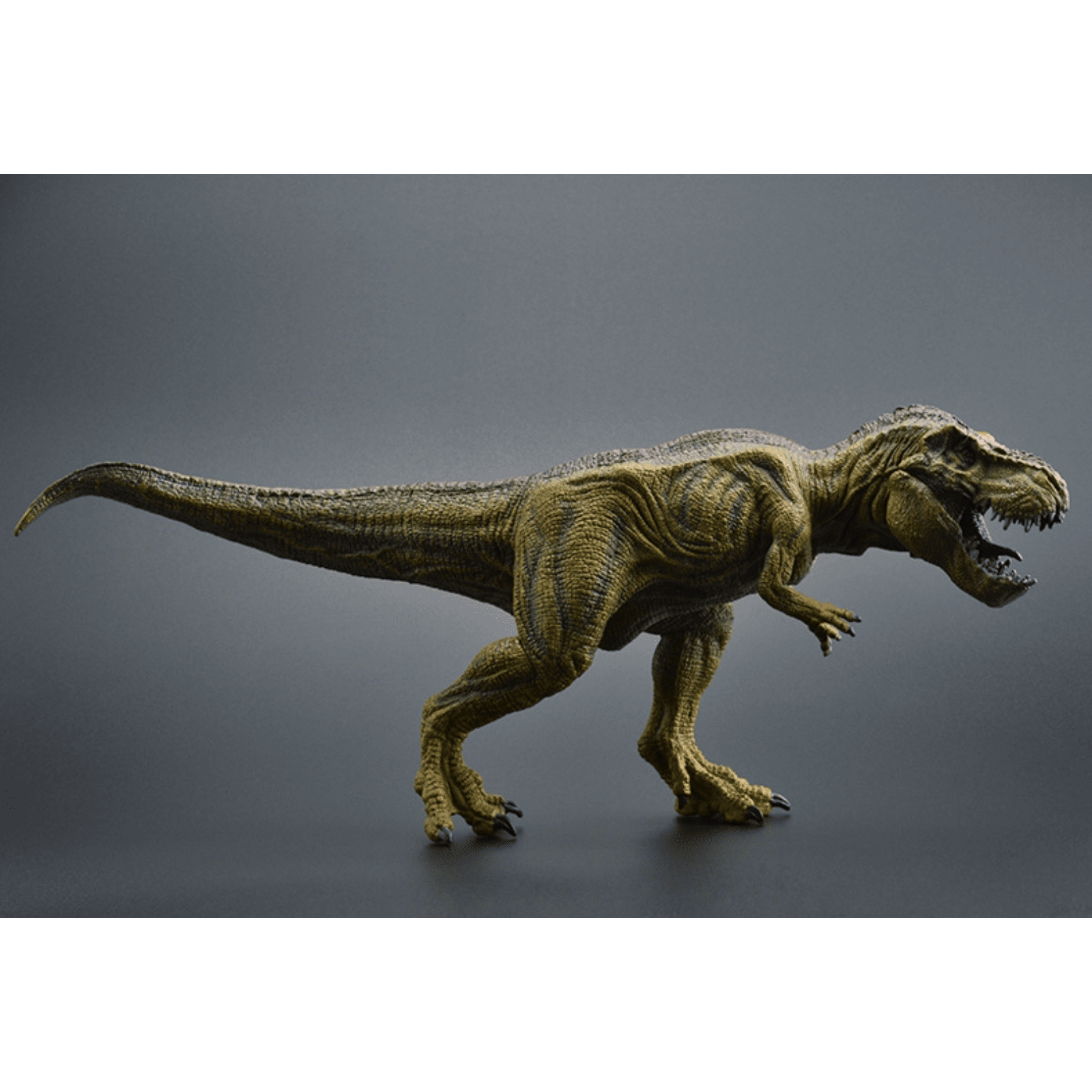 Realistic Dinosaur Figure Collection, Detailed Prehistoric Animal Model ...