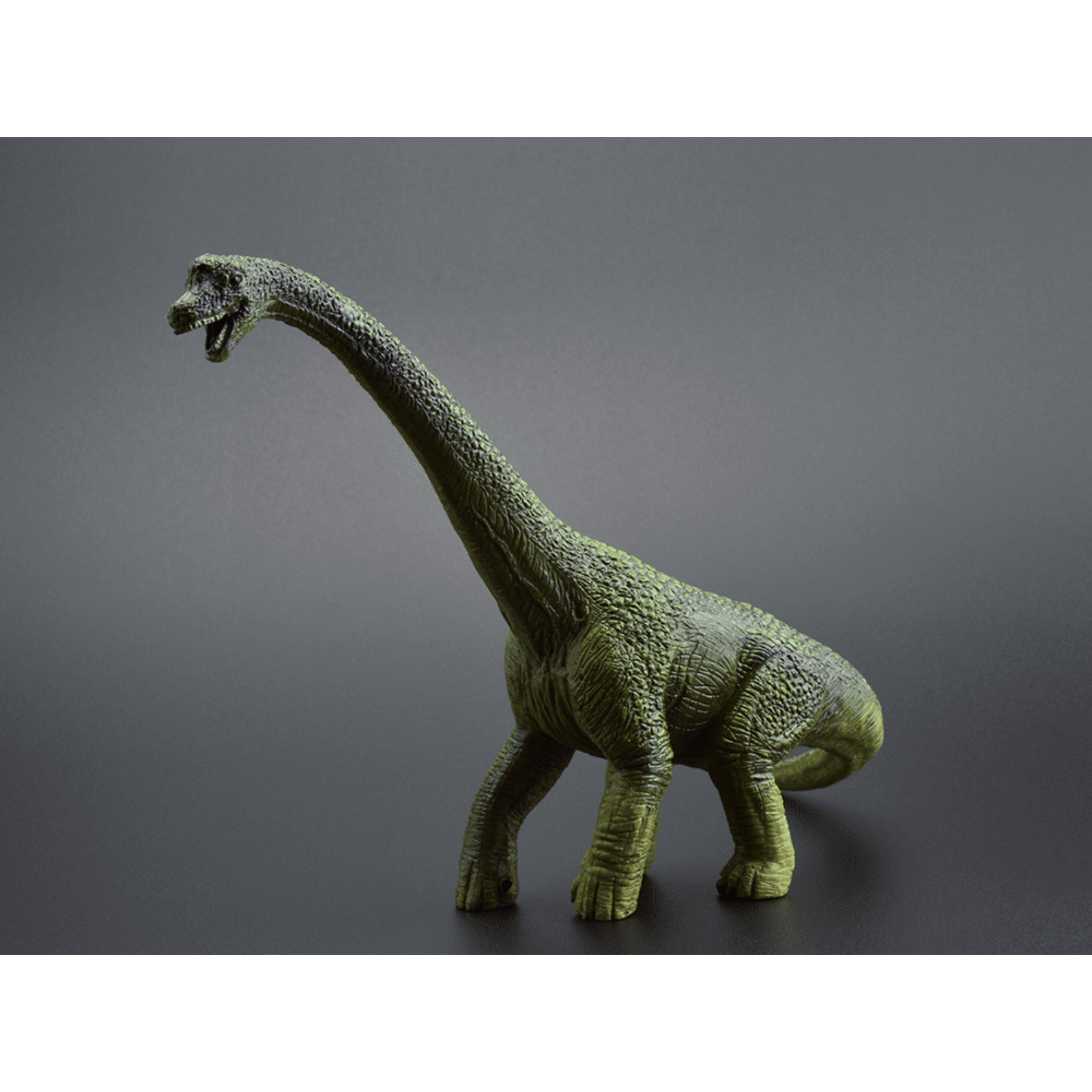 Realistic Dinosaur Figure Collection, Detailed Prehistoric Animal Model ...