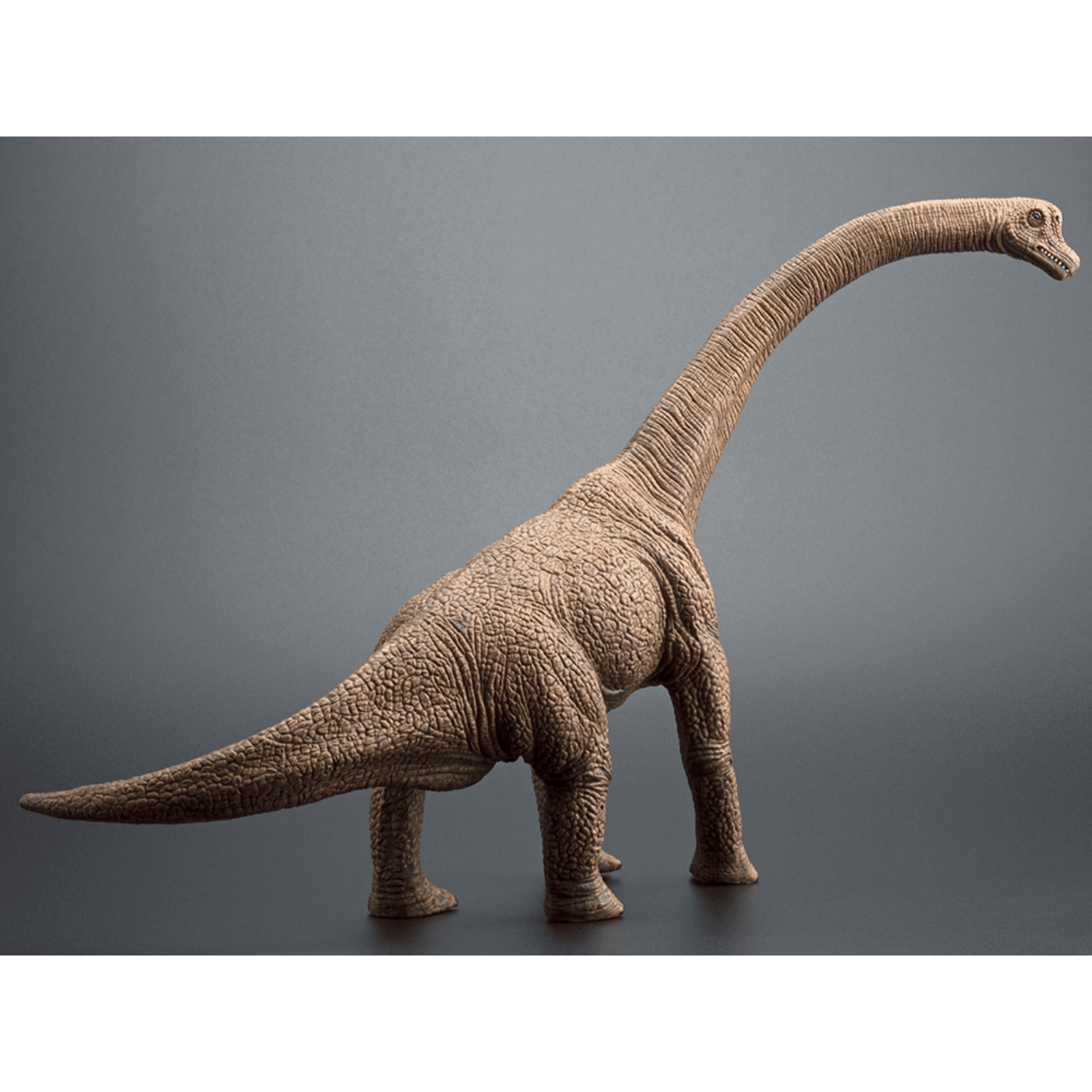 Realistic Dinosaur Figure Collection, Detailed Prehistoric Animal Model ...