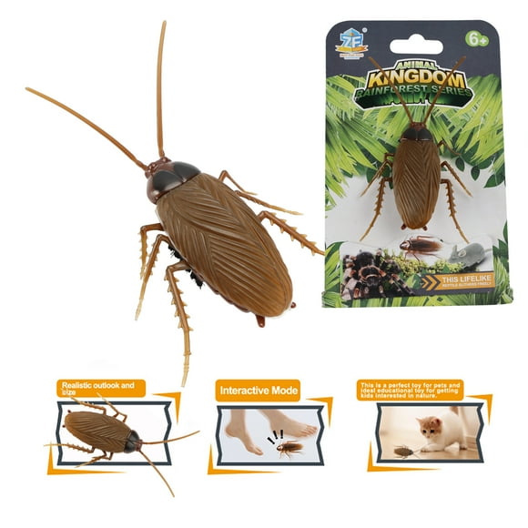Cockroach Toy