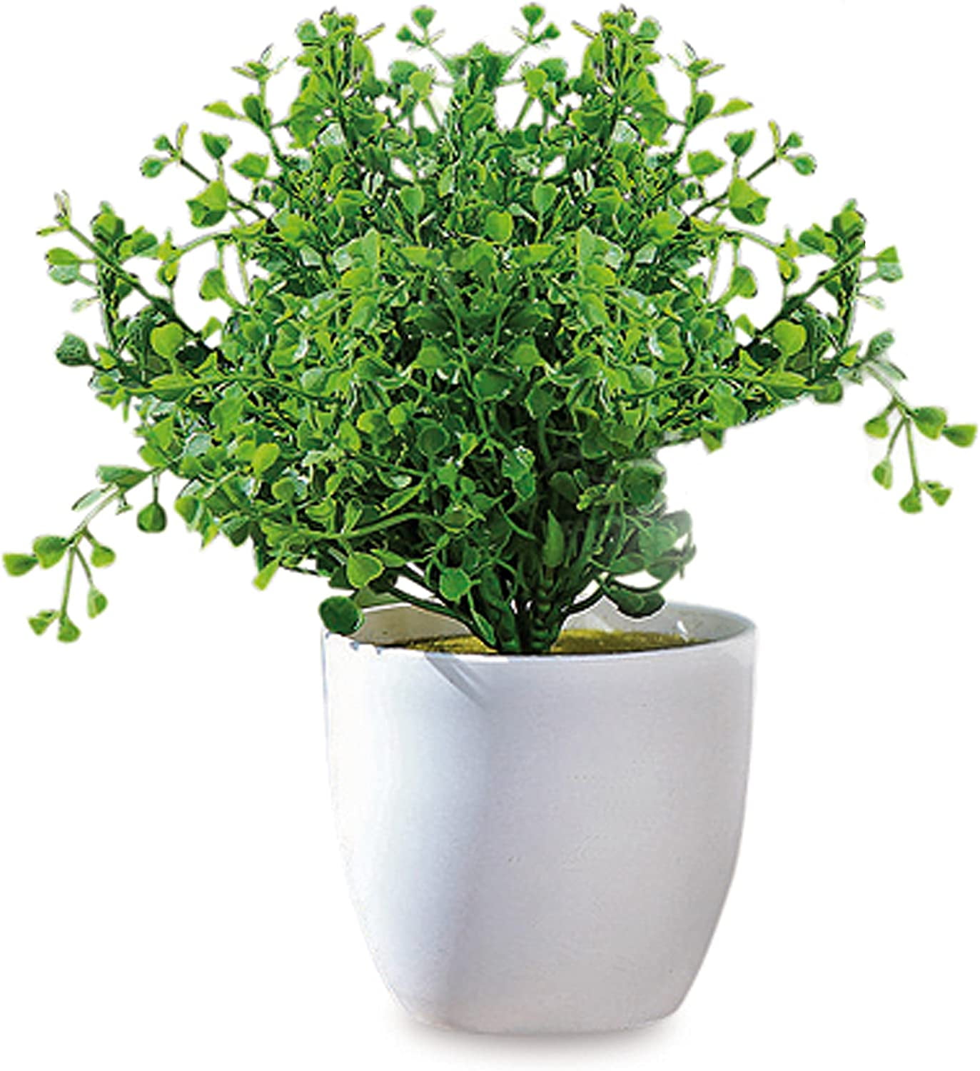 Realistic Faux Baby Oregano, Potted Plant, Houseplant, 9 3/4 inches ...