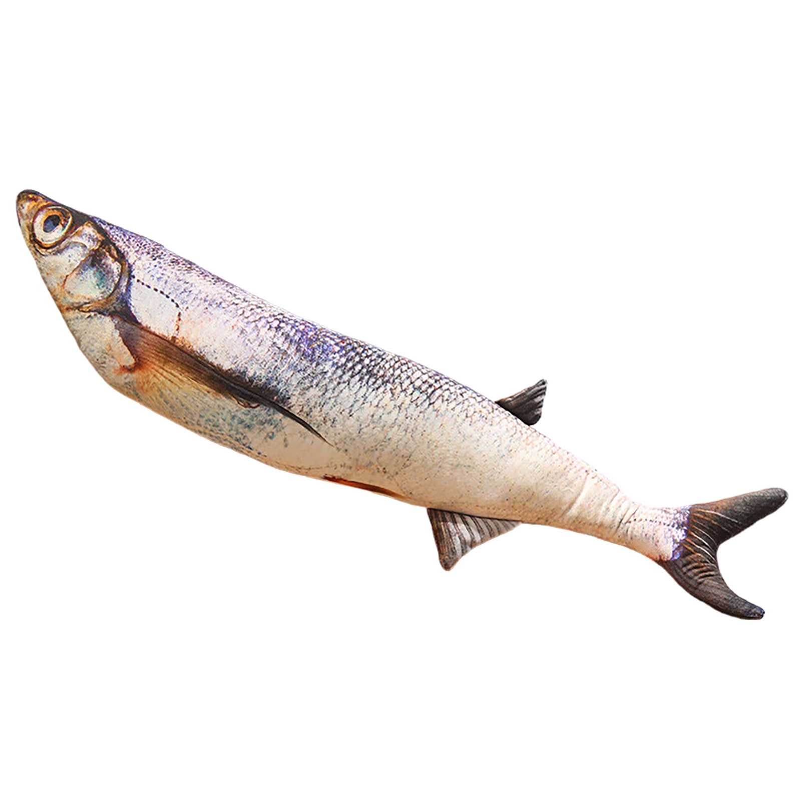 Realistic Fish Plush Toy, Aquatic Stuffed Animal, Creature Pillow ...