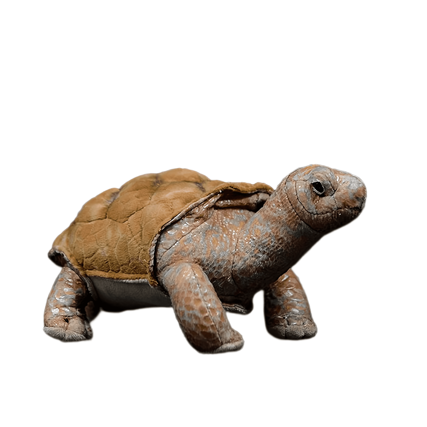Realistic Galapagos Giant Tortoise Stuffed Animal Plush Toy, Lifelike ...