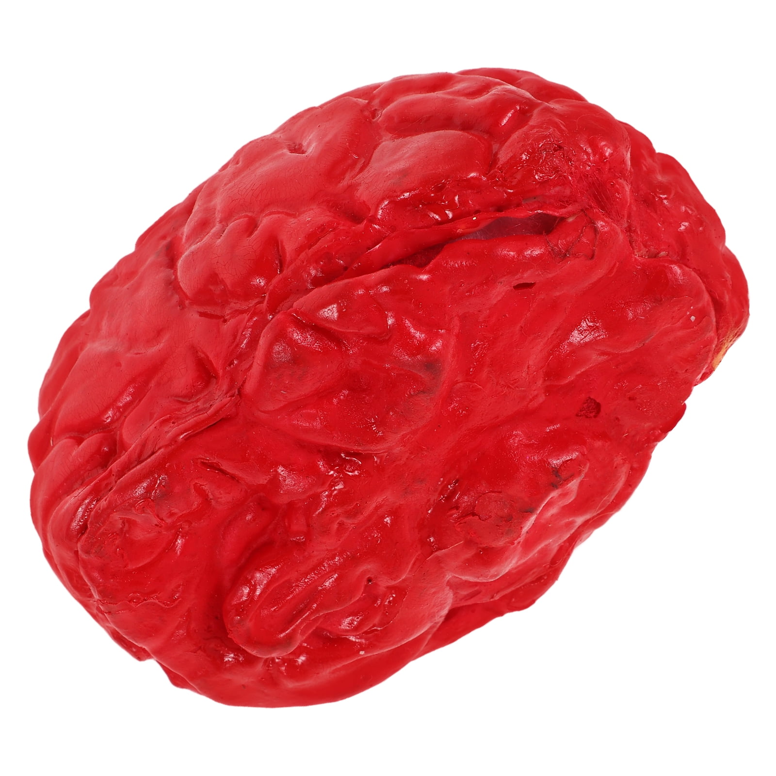 Raindrops Realistic Fake Brain Prop for Halloween Decoration Scary ...