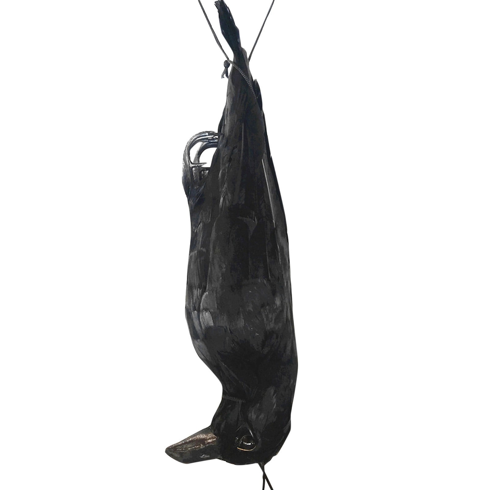 17 inch Realistic Hanging Dead Crows Decoy Lifesize Extra Large Black ...