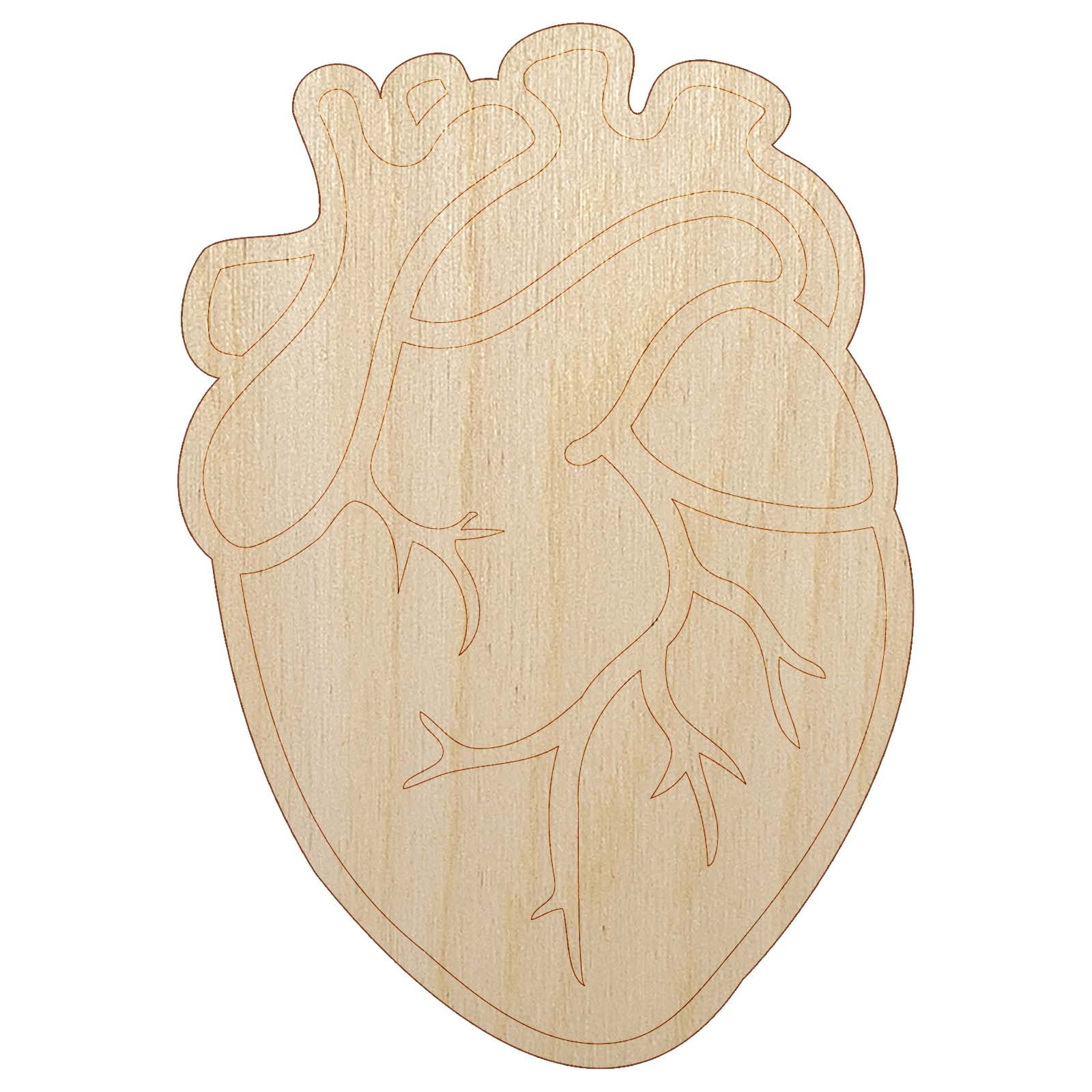 Realistic Human Heart Wood Shape Unfinished Piece Cutout Craft DIY ...