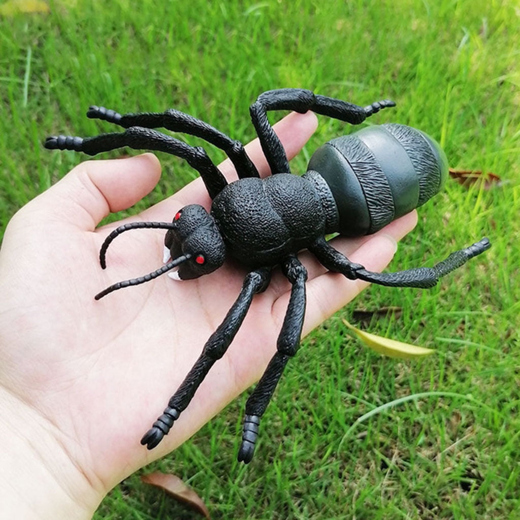 Realistic Insect Figure Children Educational Prop Creepy Lifelike Fake ...