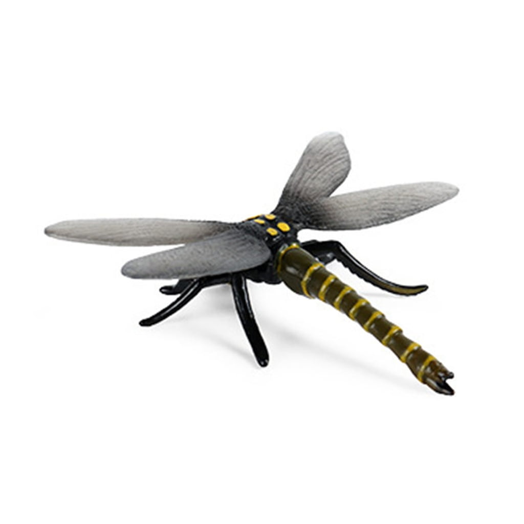 Realistic Insects Gogga Model for Science Exhibits and Classrooms Gogga ...