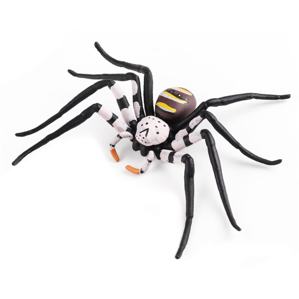 Realistic Insects Gogga Model for Science Exhibits and Classrooms Gogga ...