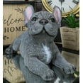 Realistic Lifelike Gray French Bulldog Puppy Sitting On Belly Figurine ...