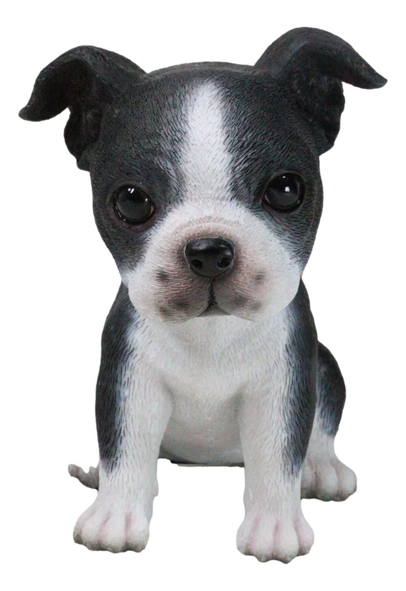 Realistic Miniature Boston Terrier Puppy Figurine 5.75"Tall Animal Dog ...