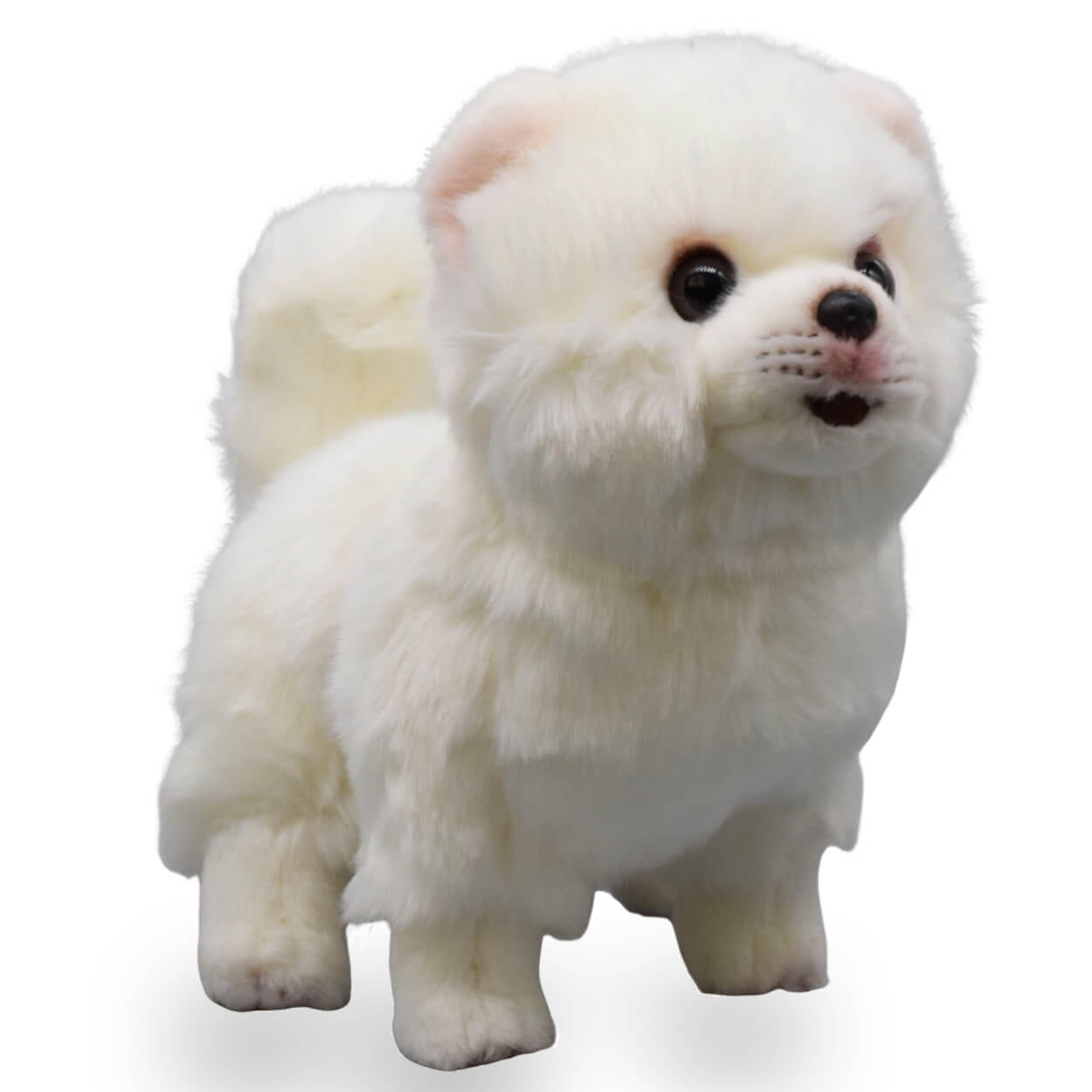 Realistic Pomeranian Dog Stuffed Animal Plush Toy, Lifelike Animal ...