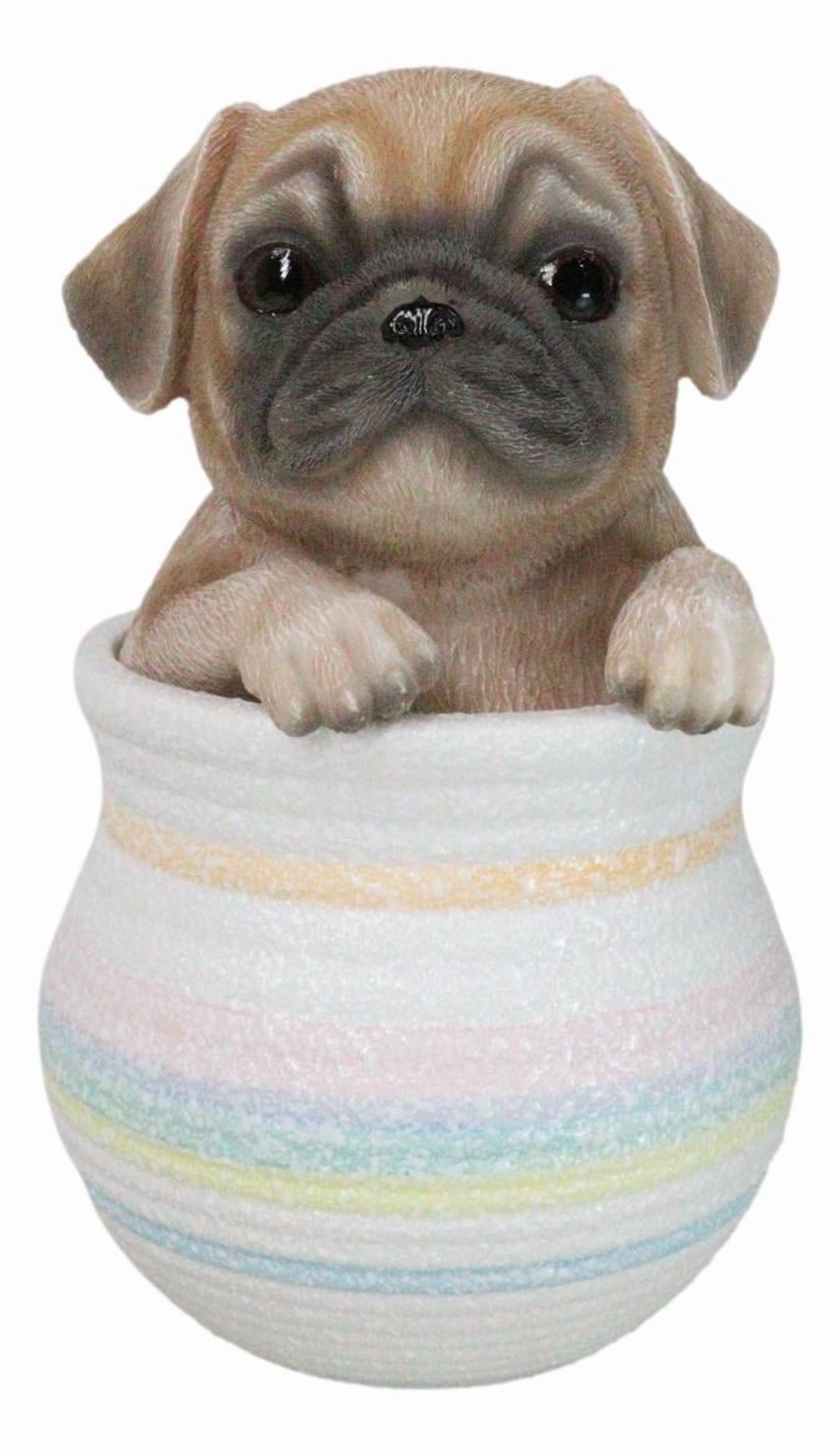 Realistic Puggy Pug Puppy Dog Figurine With Glass Eyes Pup In Pot ...