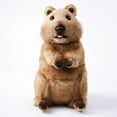 Realistic Quokka Stuffed Animal Plush Toy, Australia Animal Plushie ...
