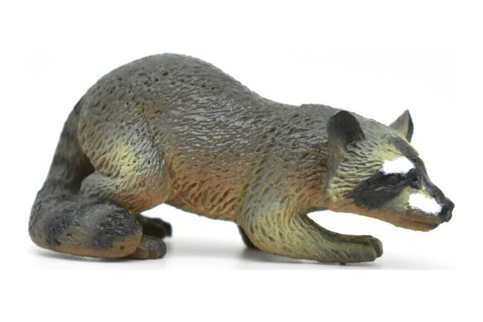 Realistic Raccoon Toy, MinI Museum Quality Plastic Replica, Hand ...