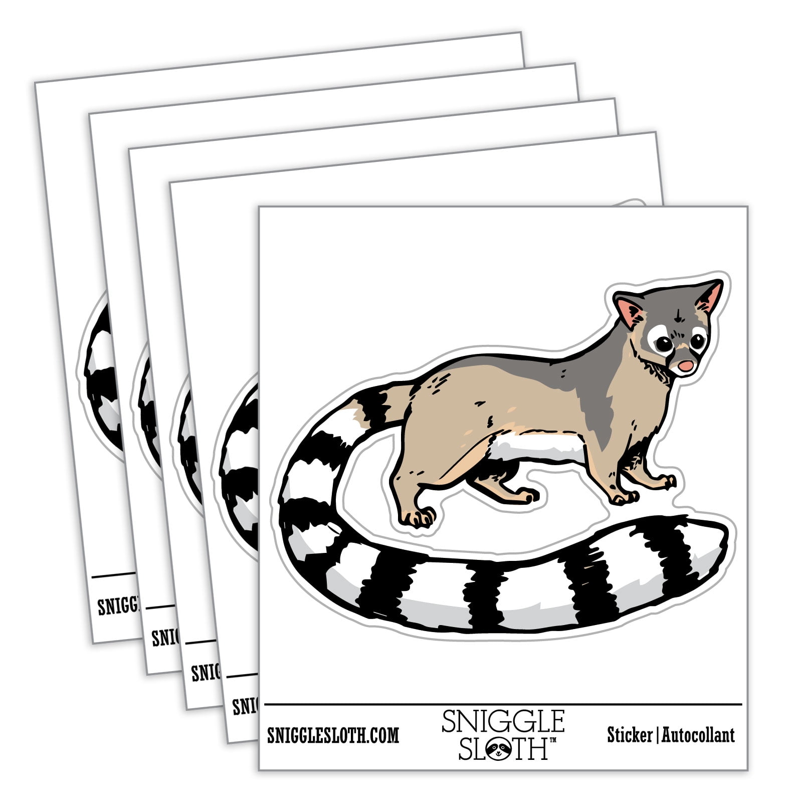 Realistic Ringtail Miner's Cat Mammal Car Window Bumper Water Bottle ...