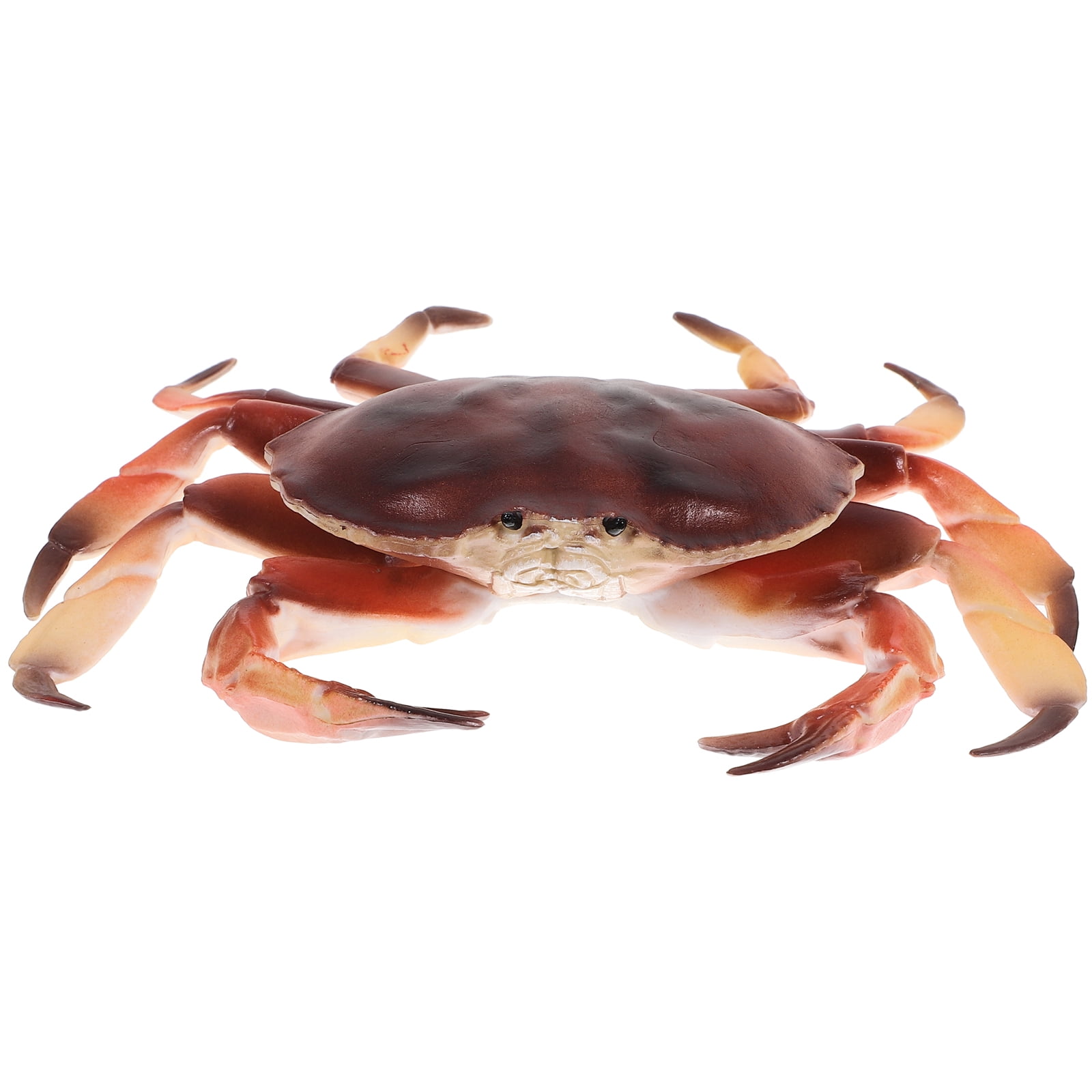 Realistic Sea Creature Model Vitality to Decor Simulation Crab ...