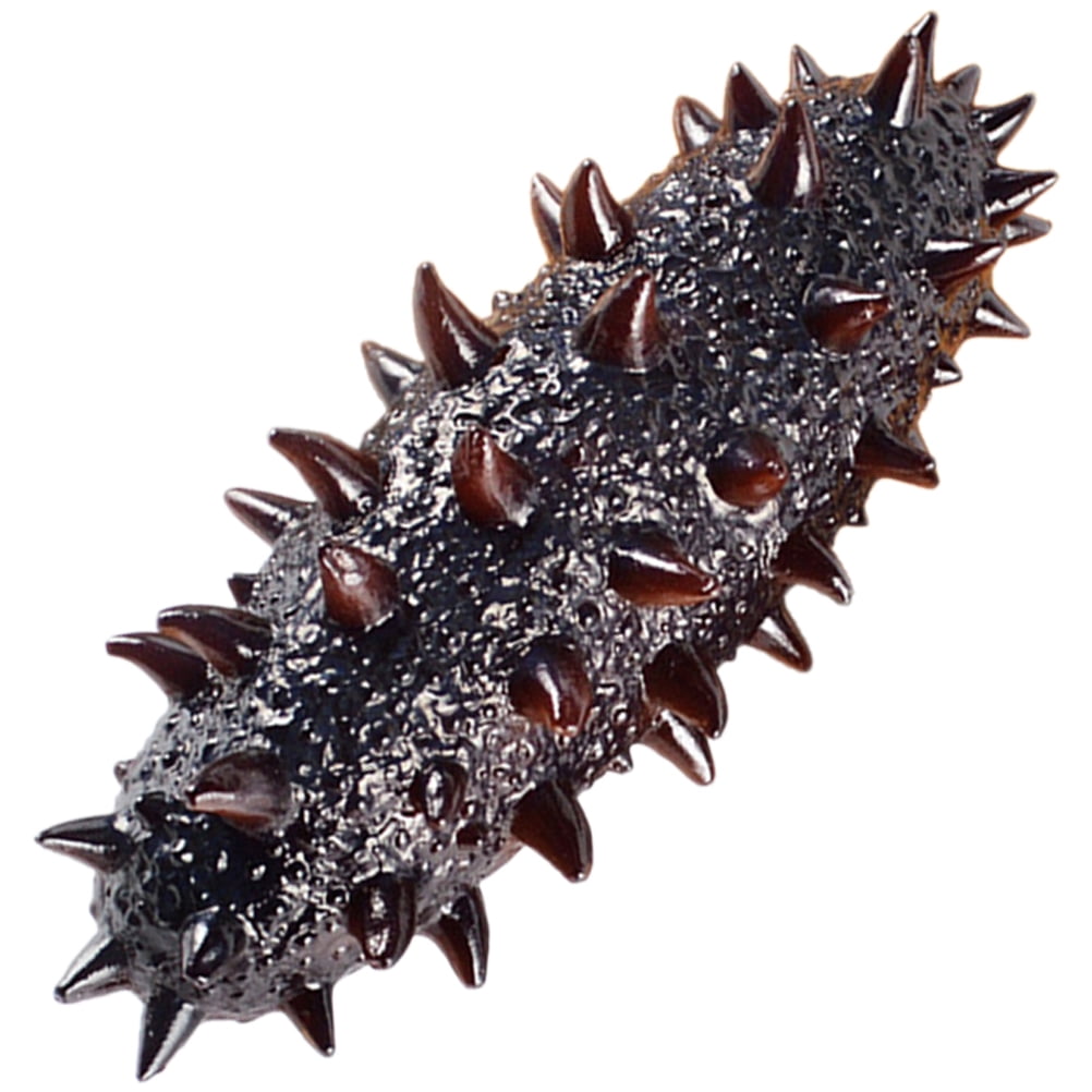 Realistic Sea Cucumber Models Restaurant Simulation Food Models Fake ...